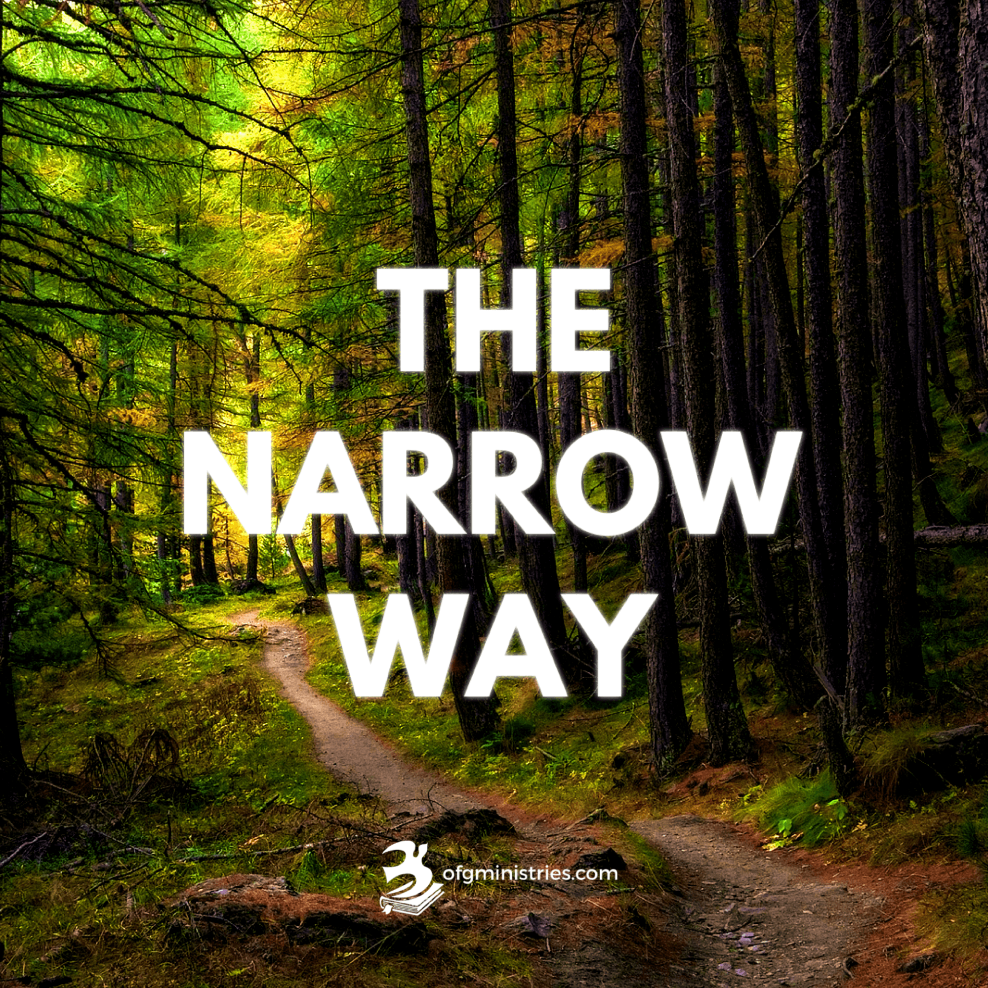 The Narrow Way: Choosing the Correct Path With Jesus